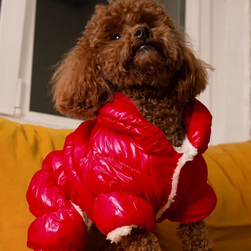 Зимний комбинезон для собак