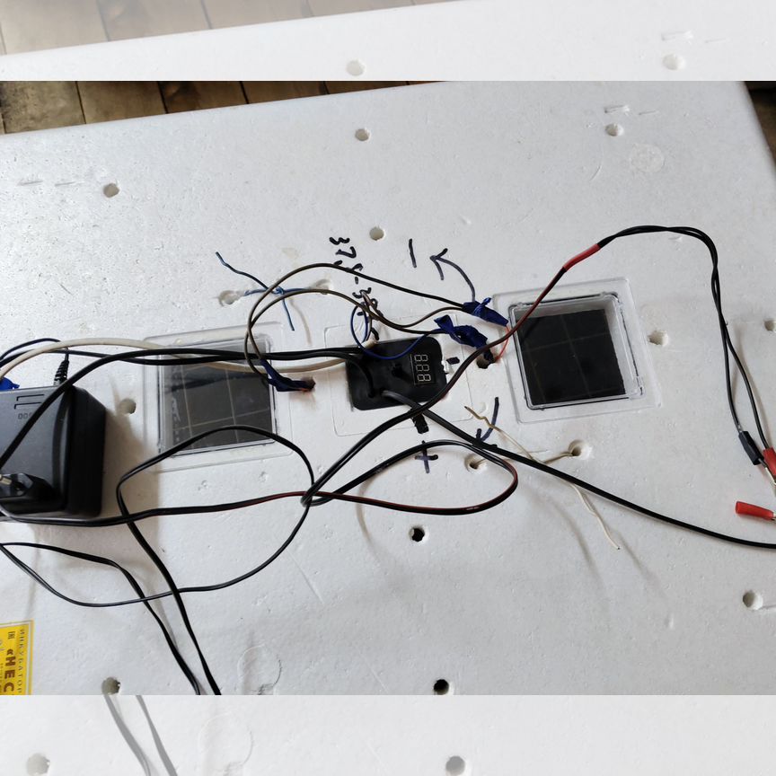 Инкубатор для яиц автоматический бу