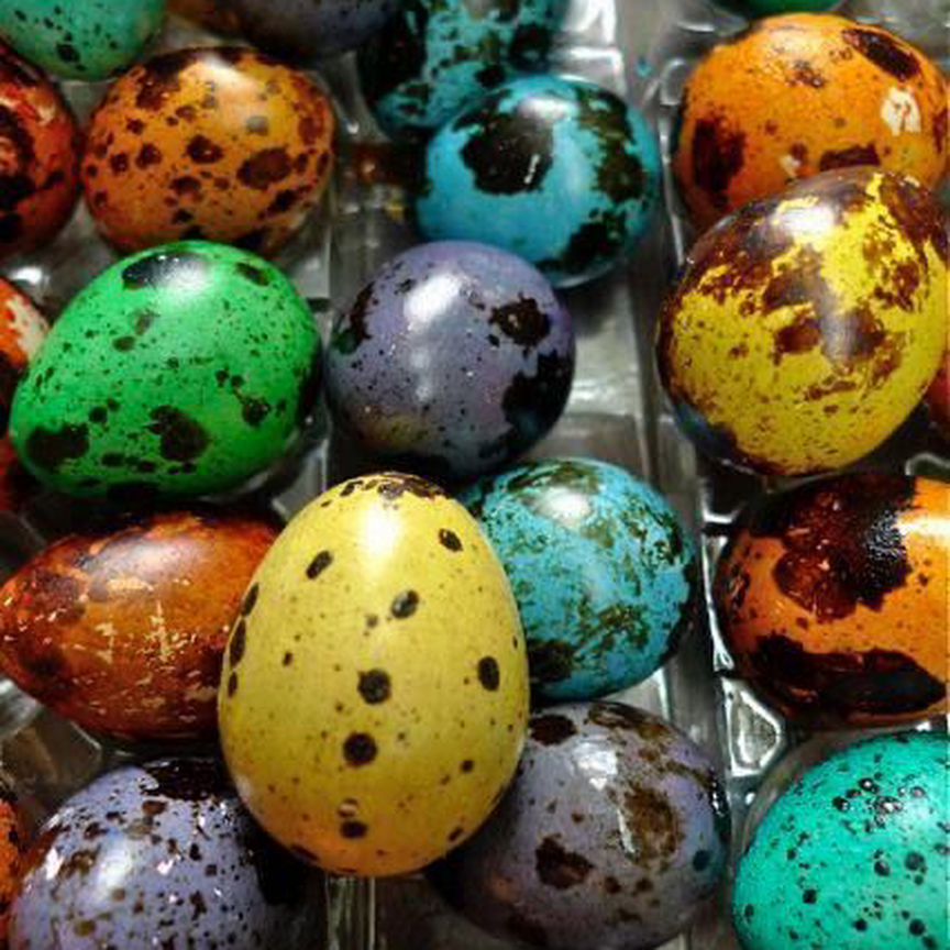 Крашенные перепелиновые яйца