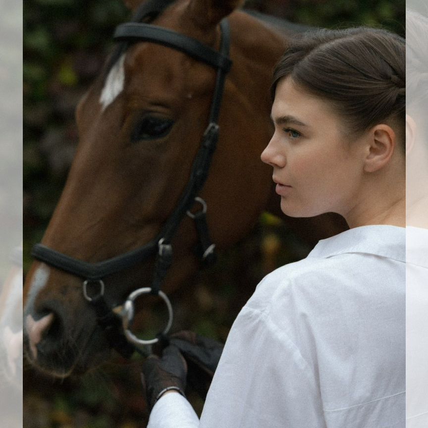 Уздечка rambo micklem