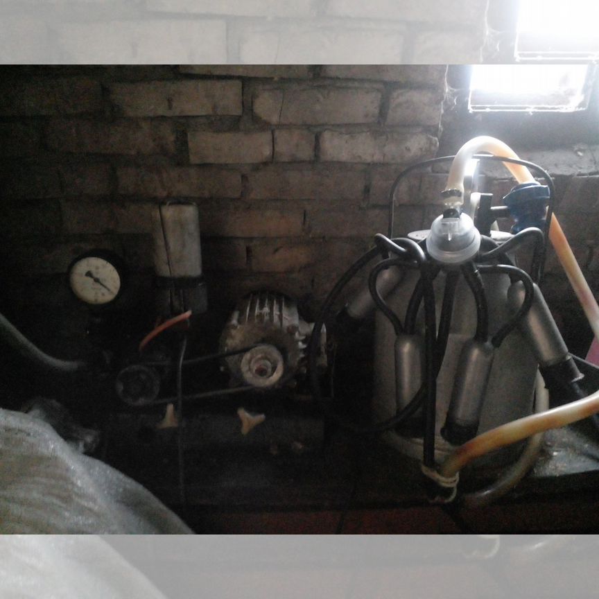 Доильный аппарат для коров бу