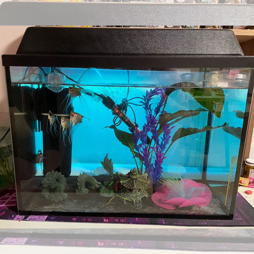 Аквариум 50 литров