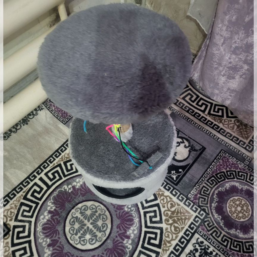 Когтеточка с домиком бу