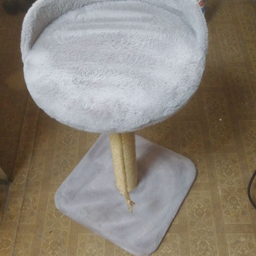 Когтеточка