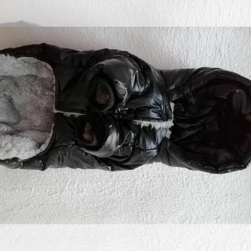 Одежда для собак мелких пород мальчик