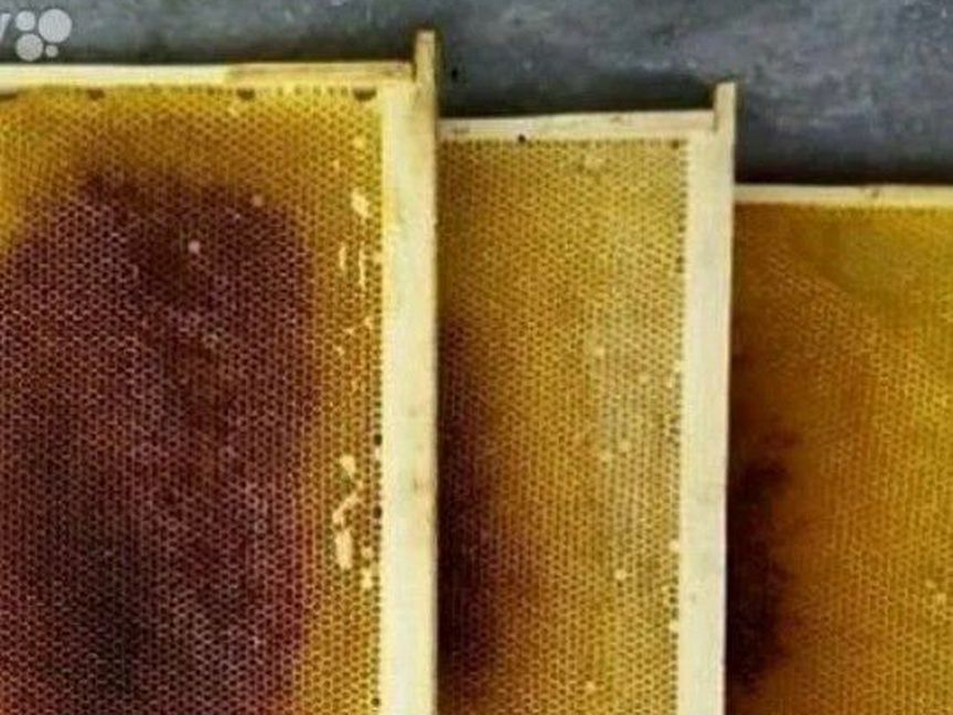 Сушь для пчел