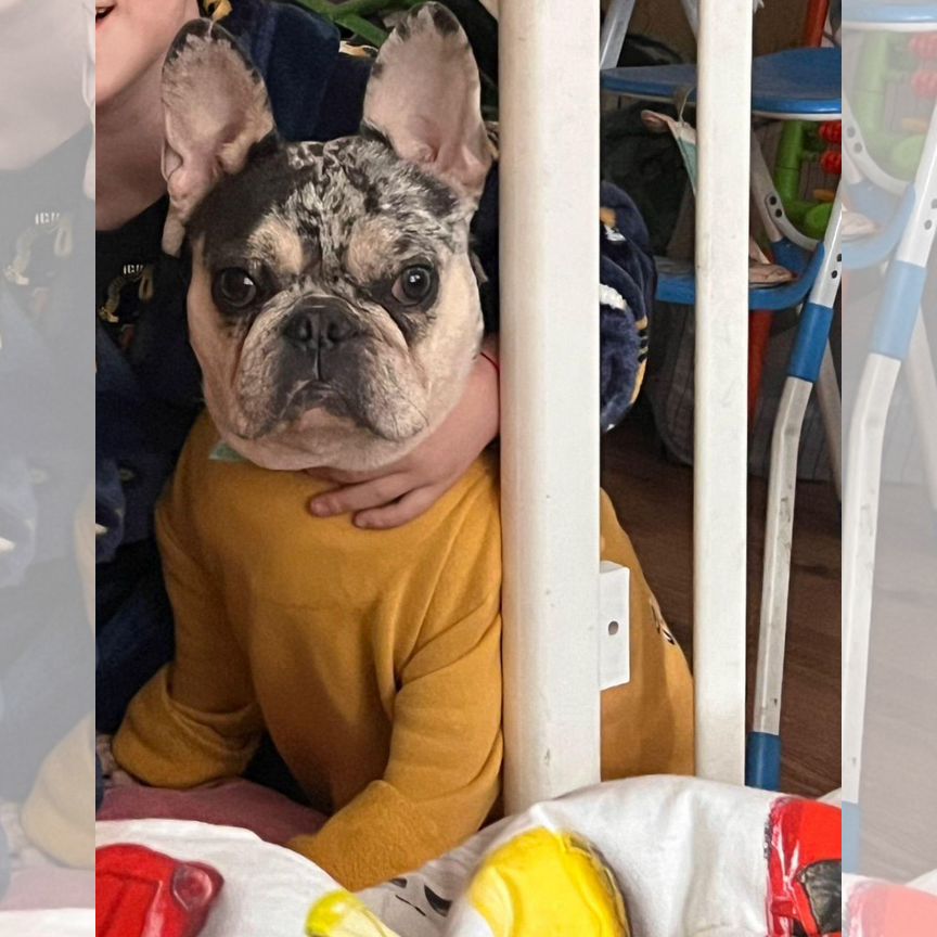 Француженка - в добрые руки