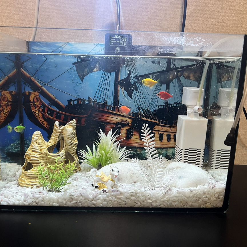Аквариум и рыбки