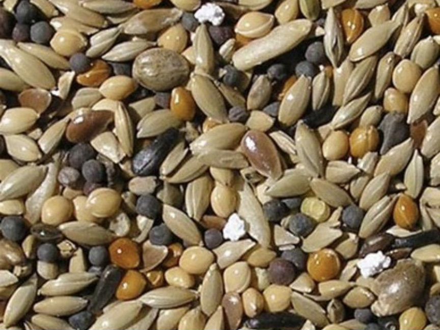 Корм для канареек, попугаев, амадин