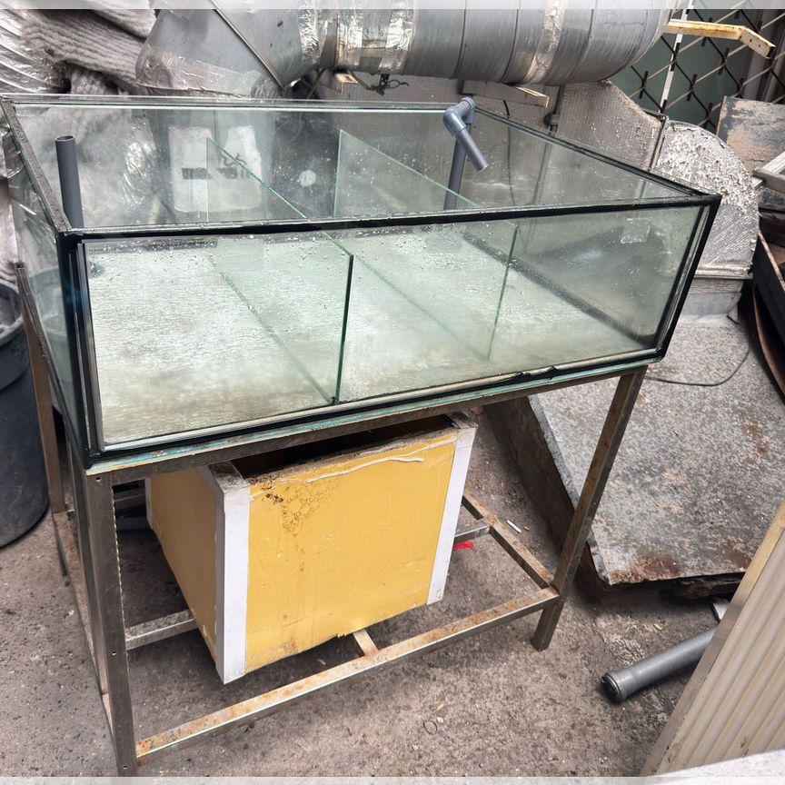 Аквариум для устриц, рыбы,черепашки