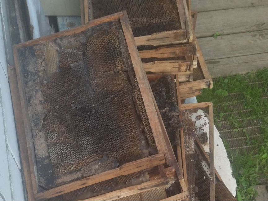 Рамки для ульев бу