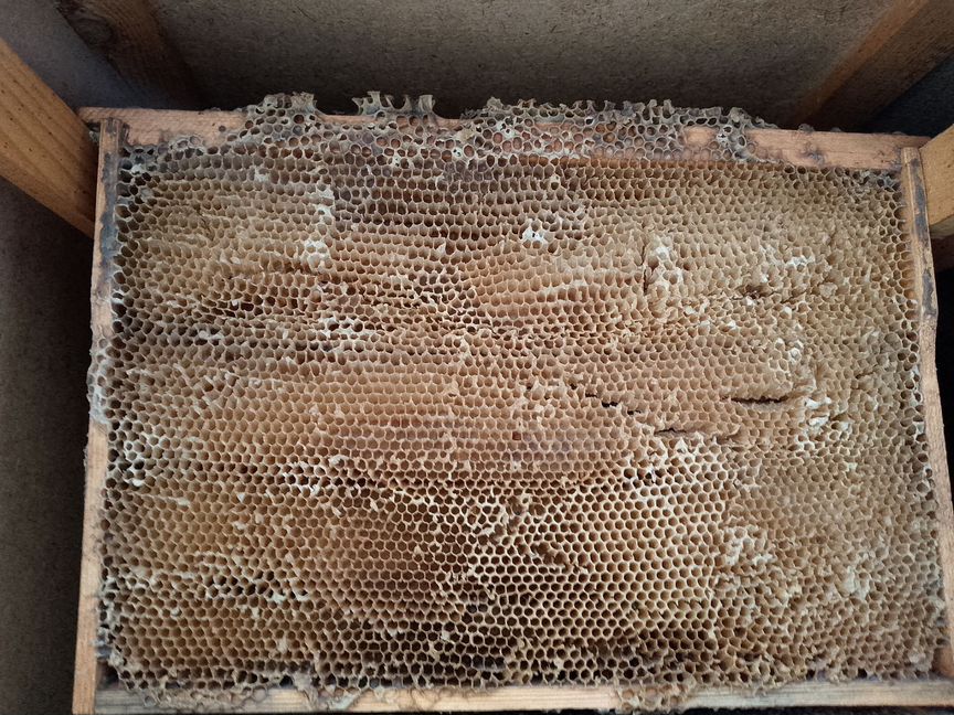 Продам сушь для пчел