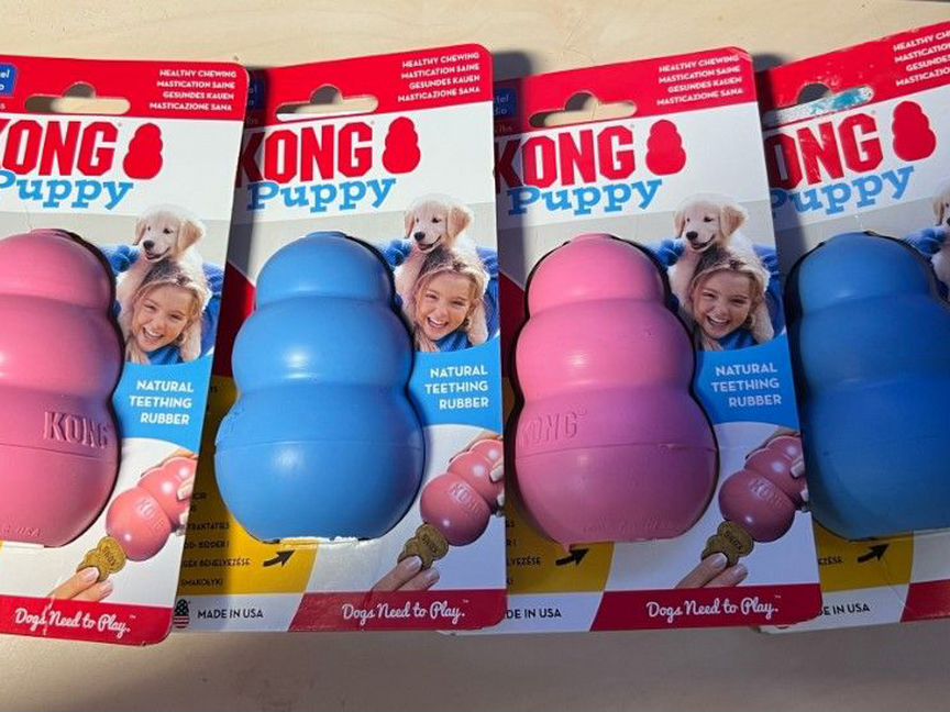 Kong M Puppy для щенков
