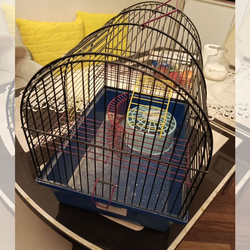 Клетка для грызунов или птички- решать хозяину