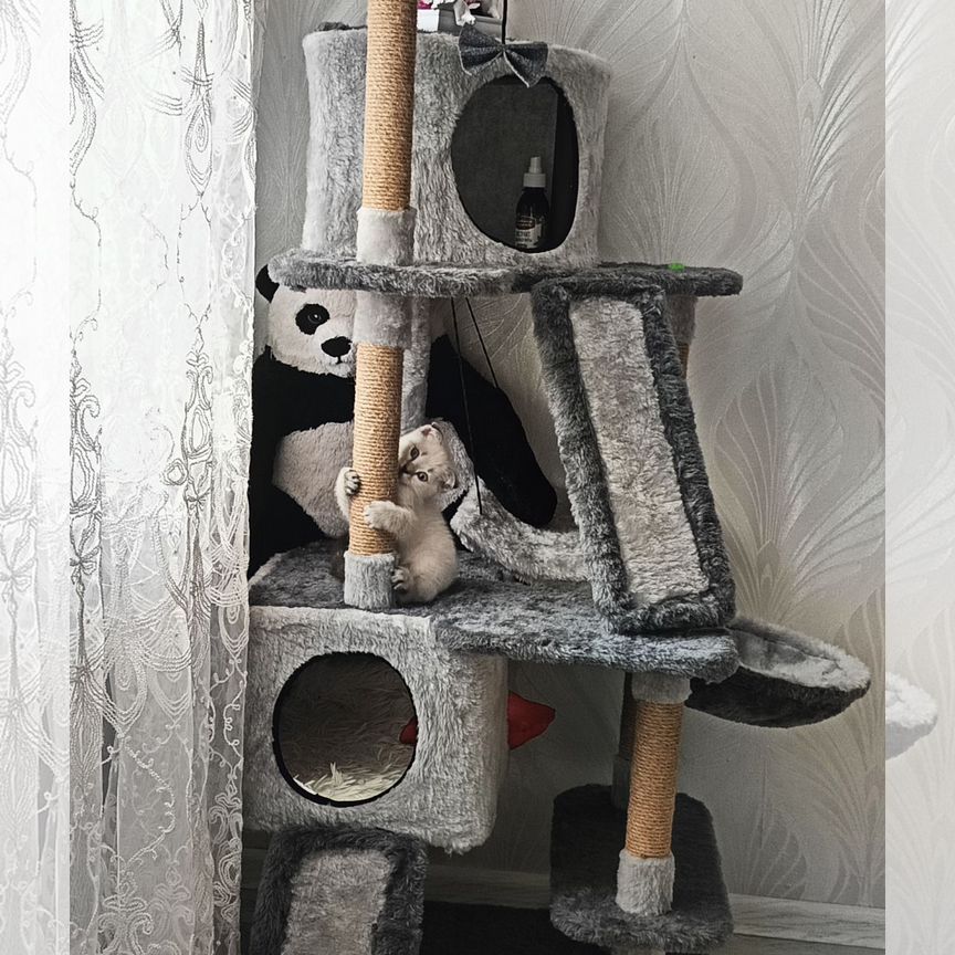 Домик для кошки