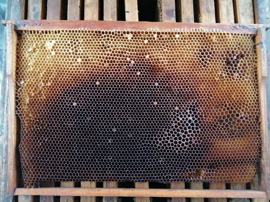 Рамки с вощиной