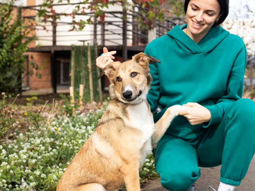 Щенок в добрые руки бесплатно