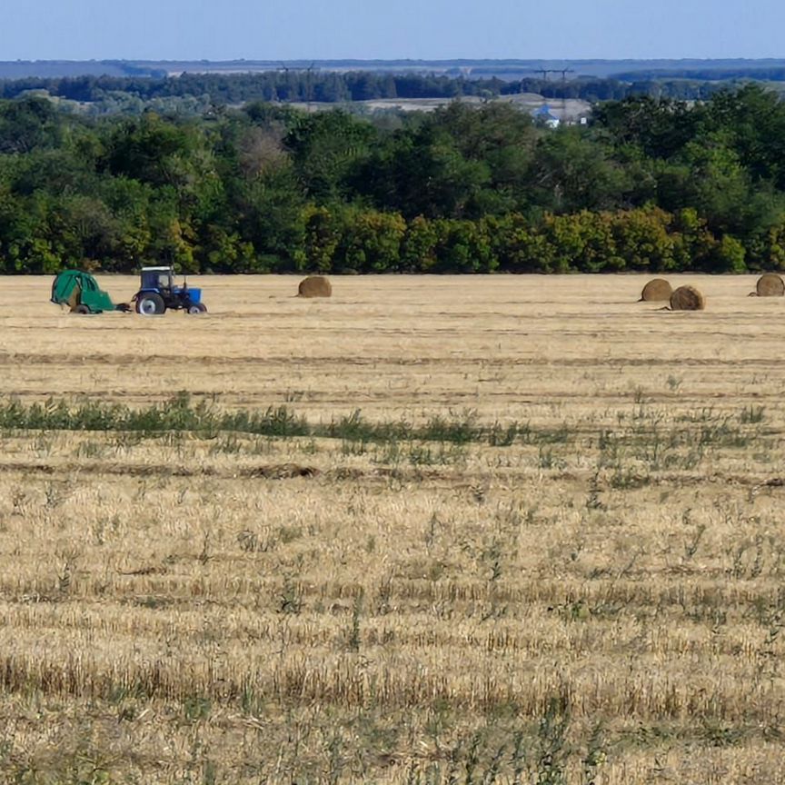 Солома в рулонах