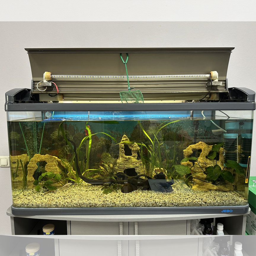 Готовый аквариум с тумбой (без рыб)