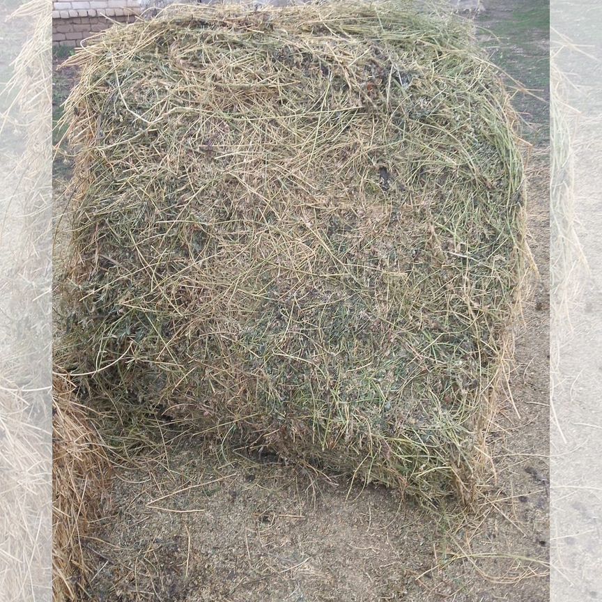 Сено в рулонах