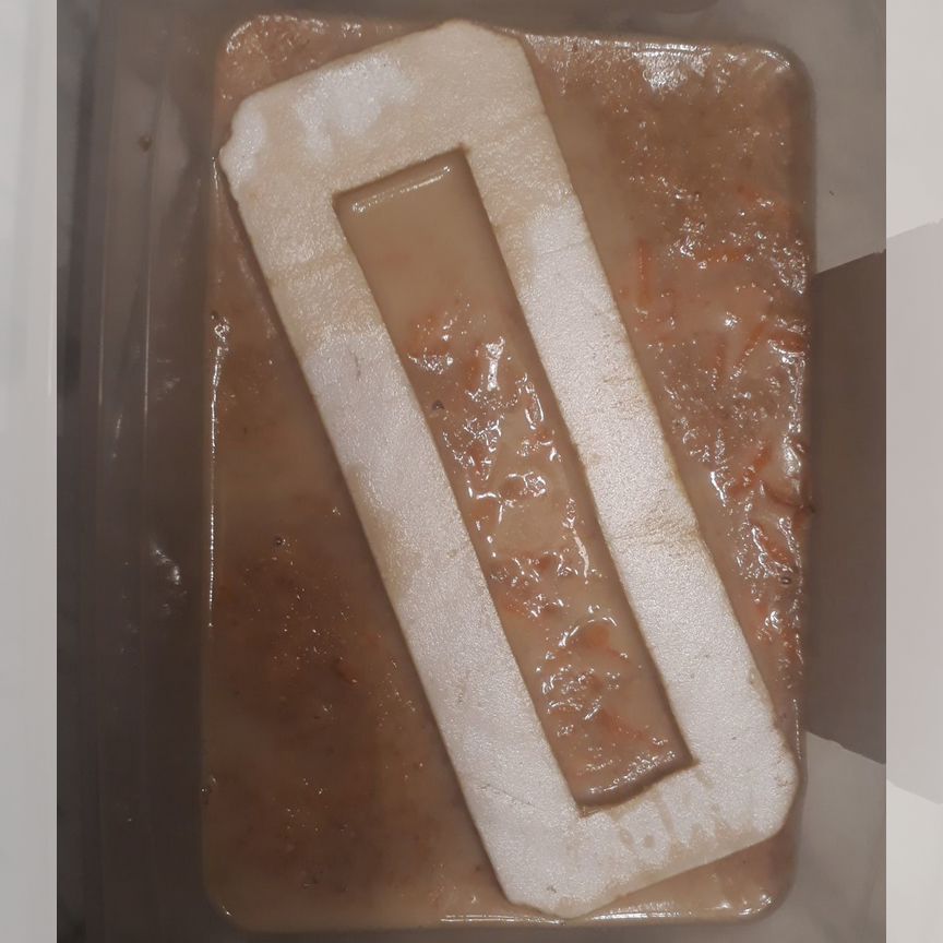 Немотода. Стартовый корм для мальков