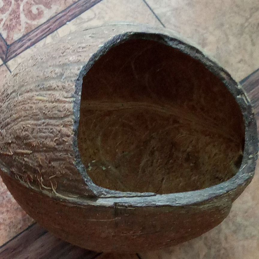Кокос для аквариума, для птиц
