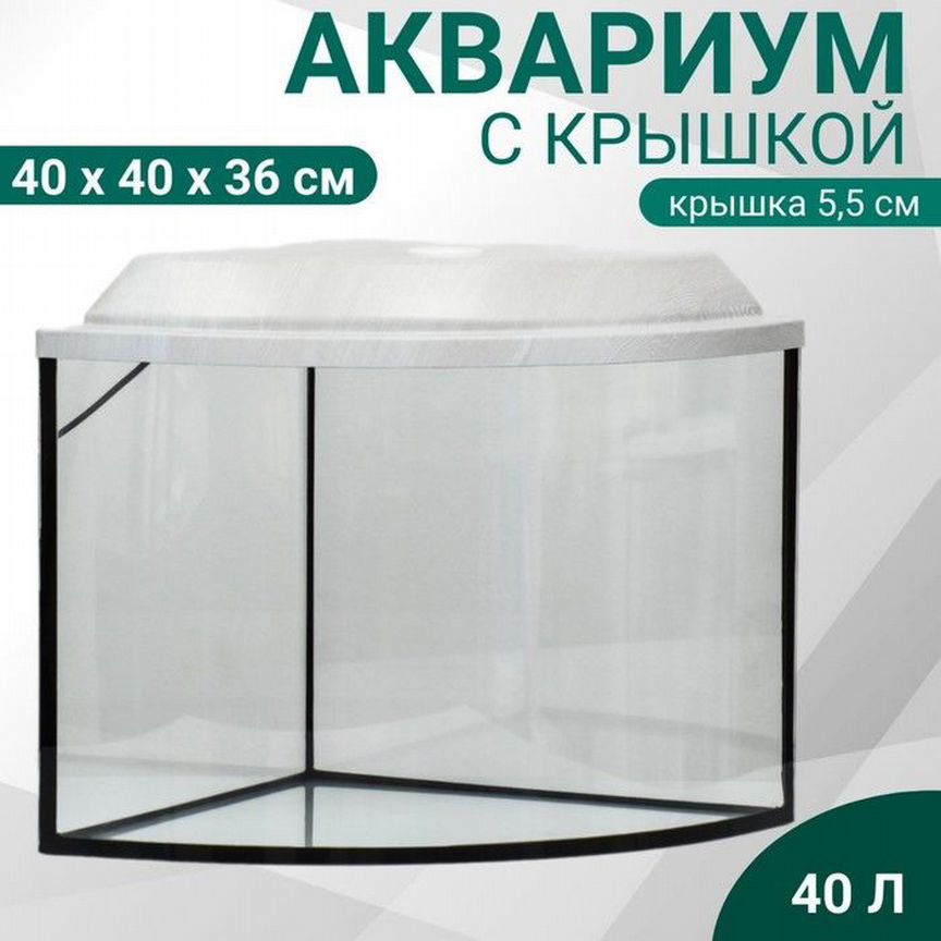 Аквариум "Сектор" угловой с крышкой, 40