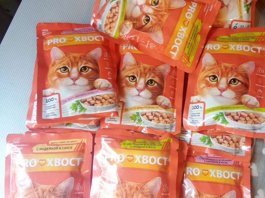 Паучи для кошек