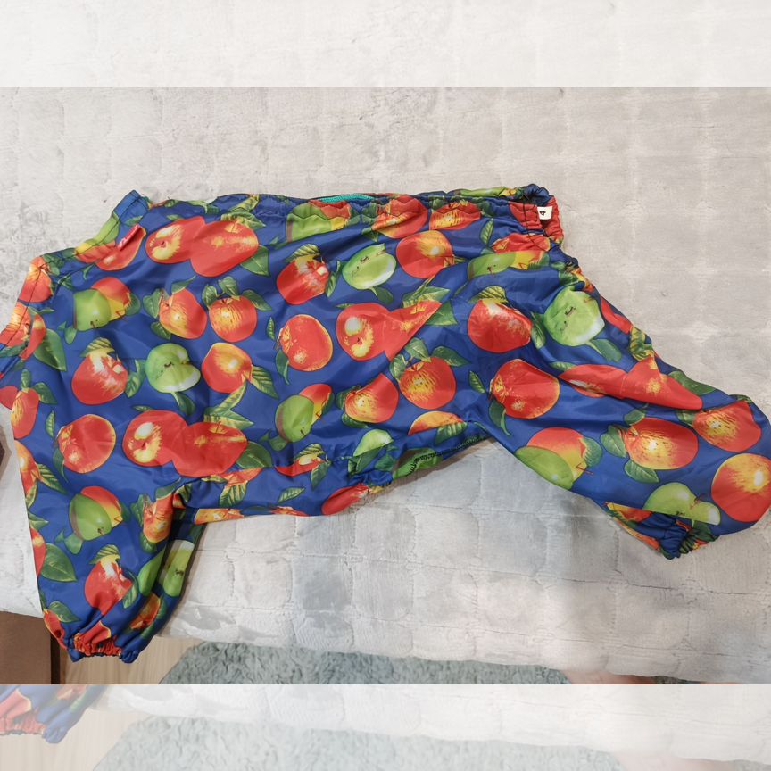 Костюм для собаки осень