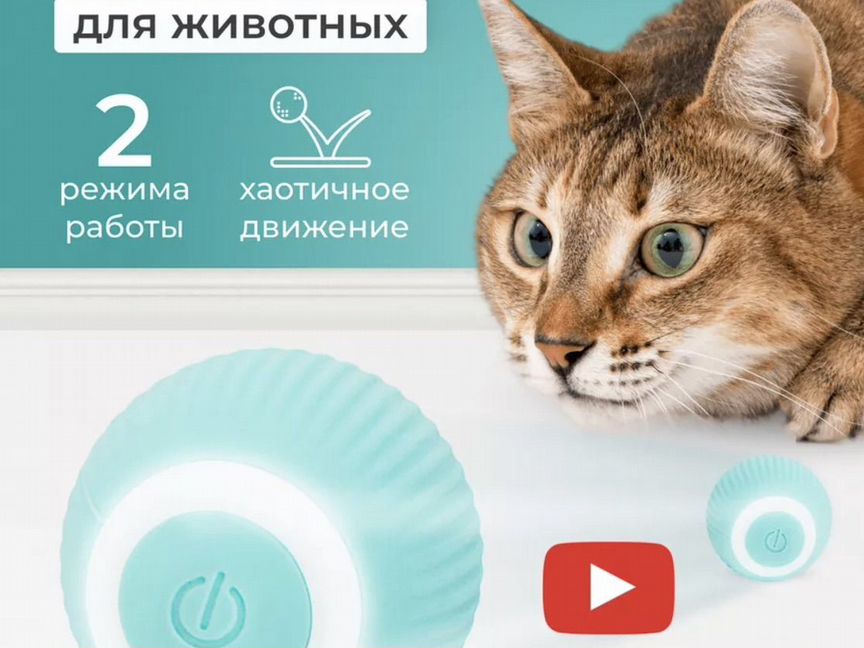 Игрушка для кота мяч автоматический