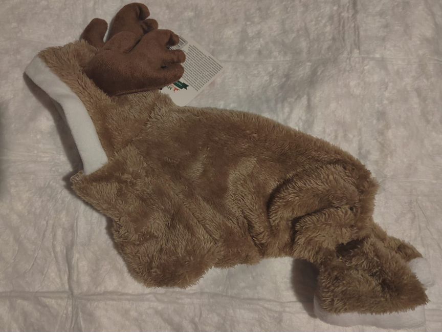 Одежда для собаки