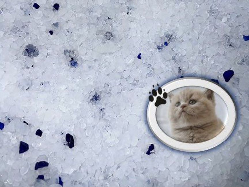 Силикагель