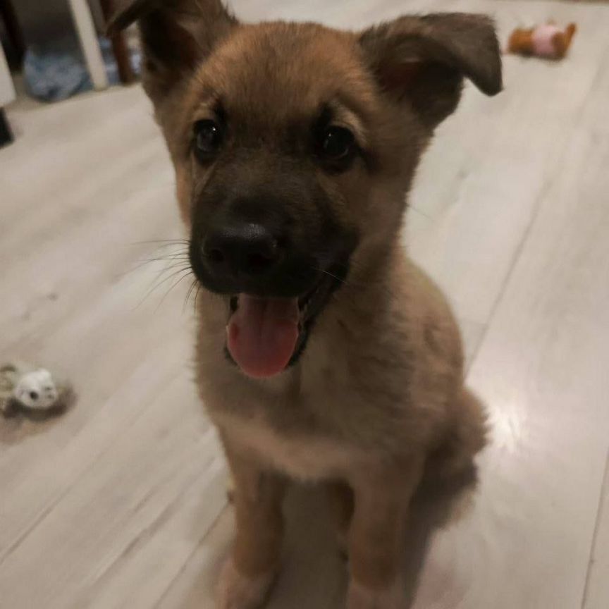 Мальчик 3 мес, зовут Мишка