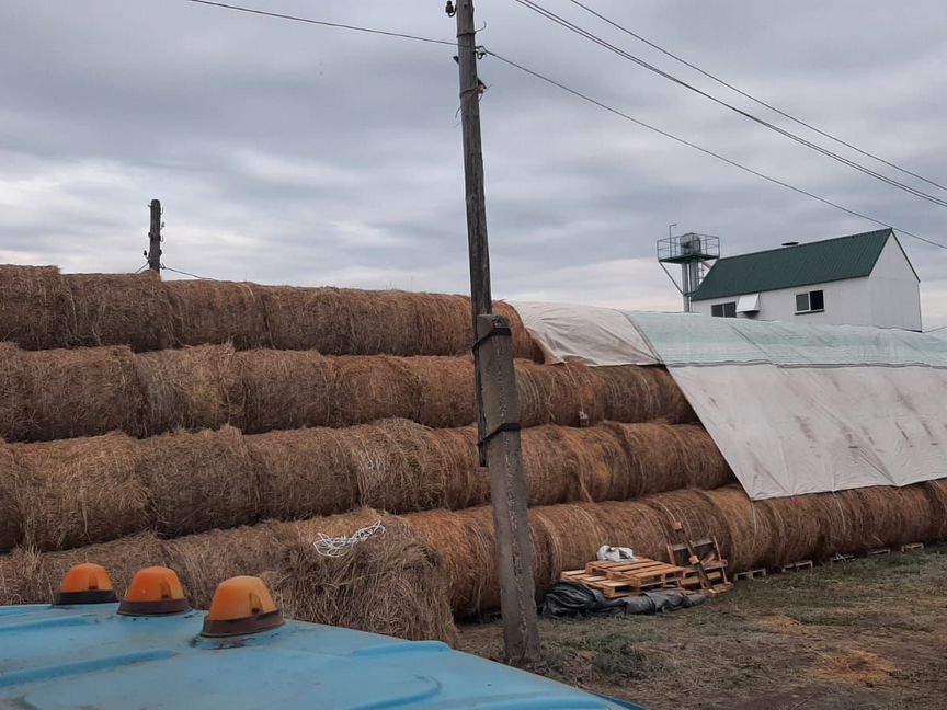 Продам сено в рулонах