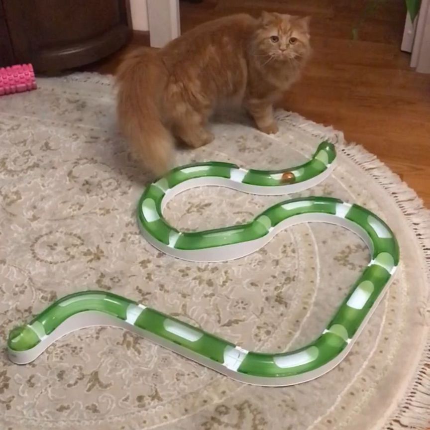 Игрушка трек для кошки