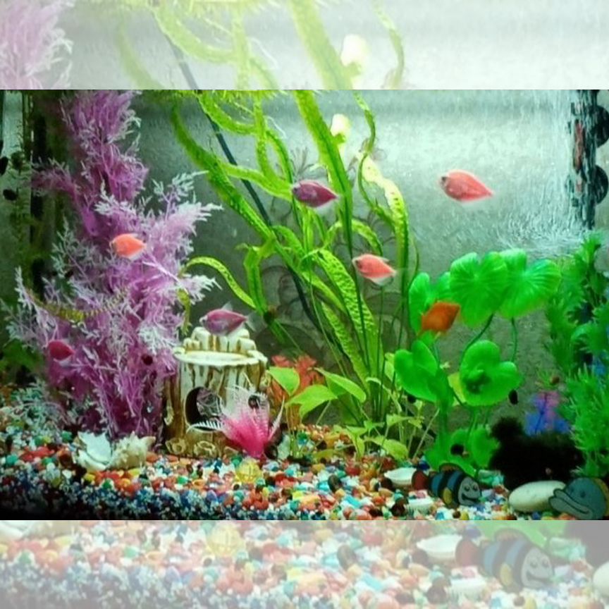 Грунт для аквариума