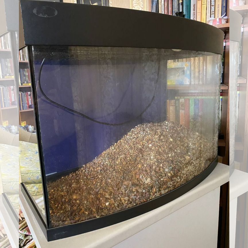 Аквариум BioDesign на 100 л