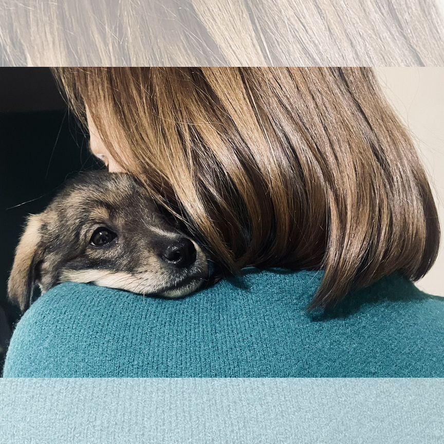 В очень добрые ручки очень замечательного ребенка