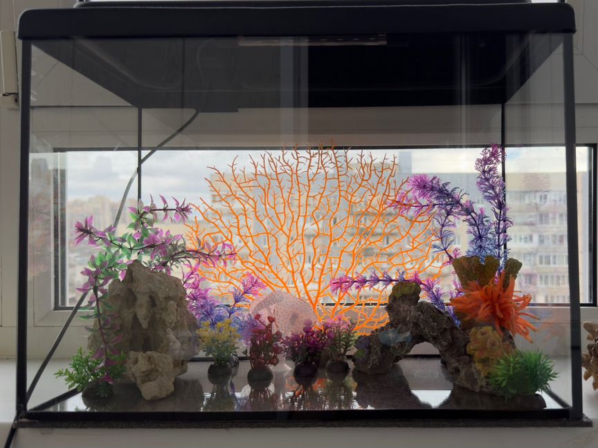 Аквариум для рыб и все для него