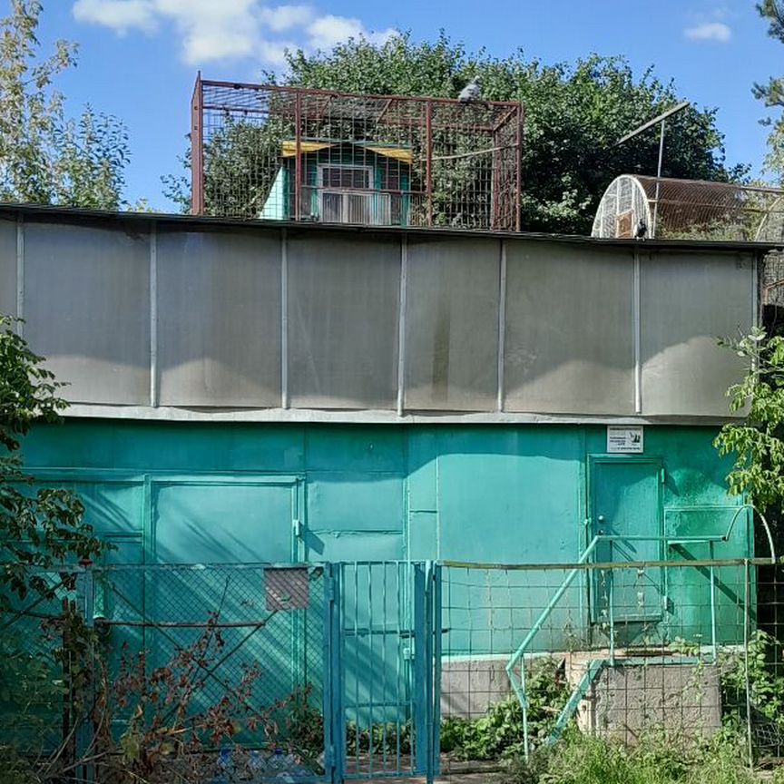 Голубятня продажа