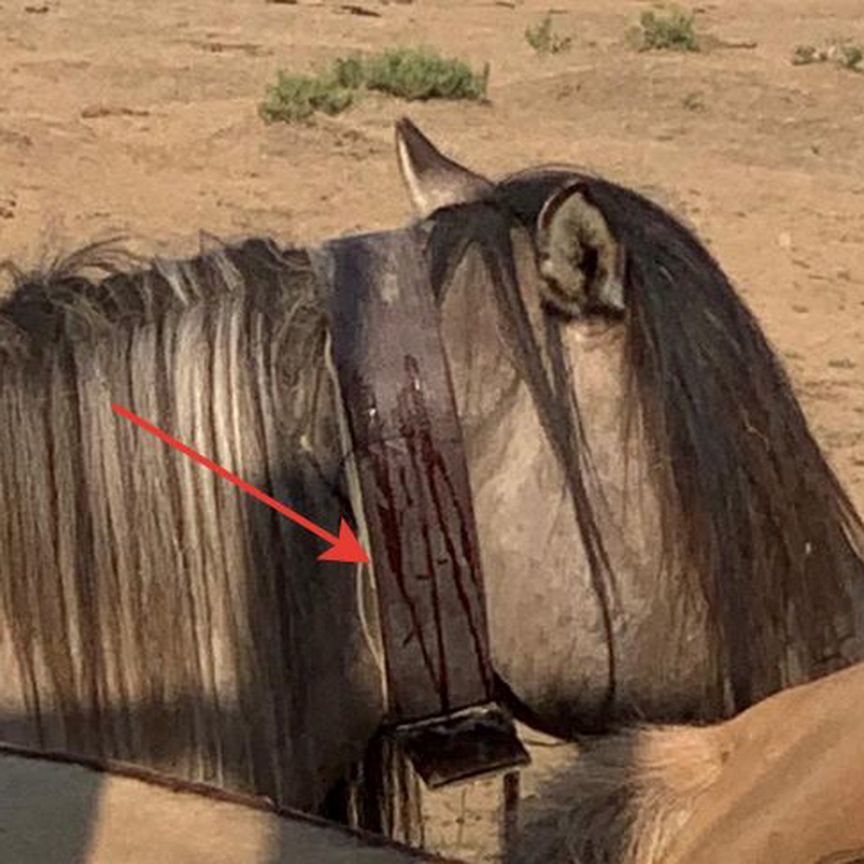 Gps трекер с автономным питанием