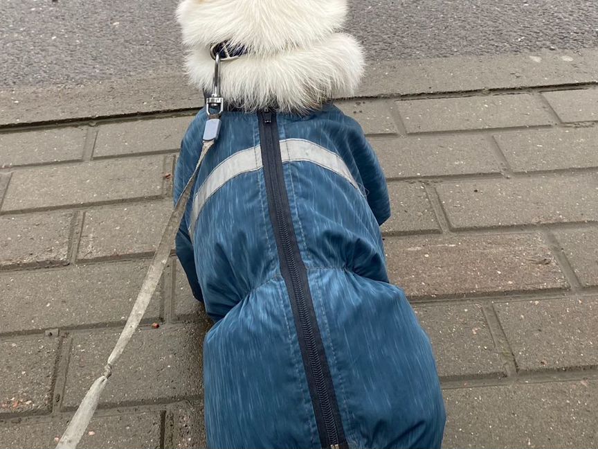 Комбинезон непромокаемый для собак