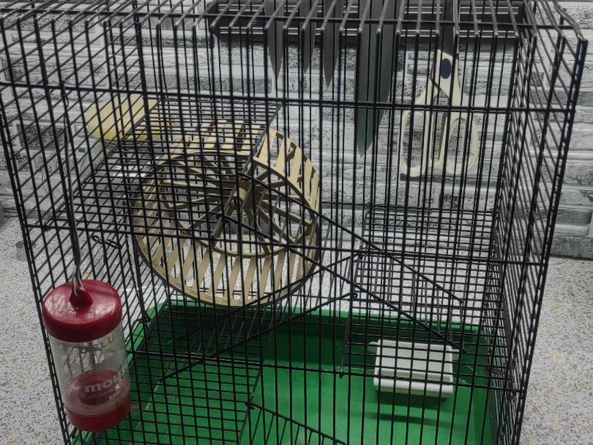 Клетка для грызунов