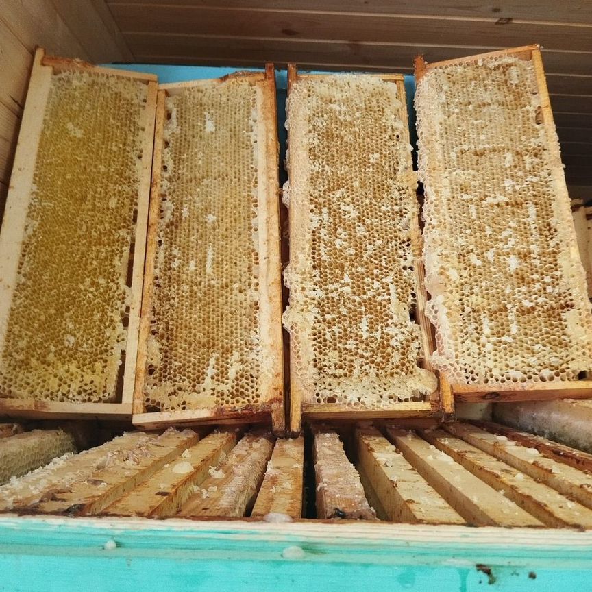 Сушь магазинная