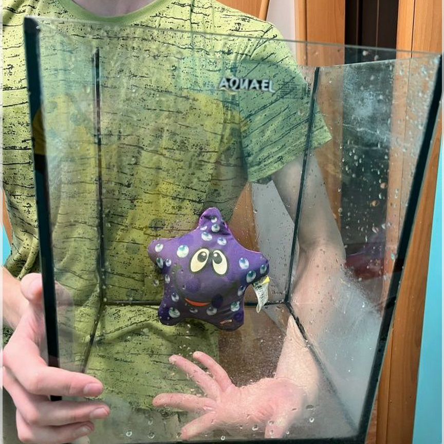 Серьёзный Аквариум