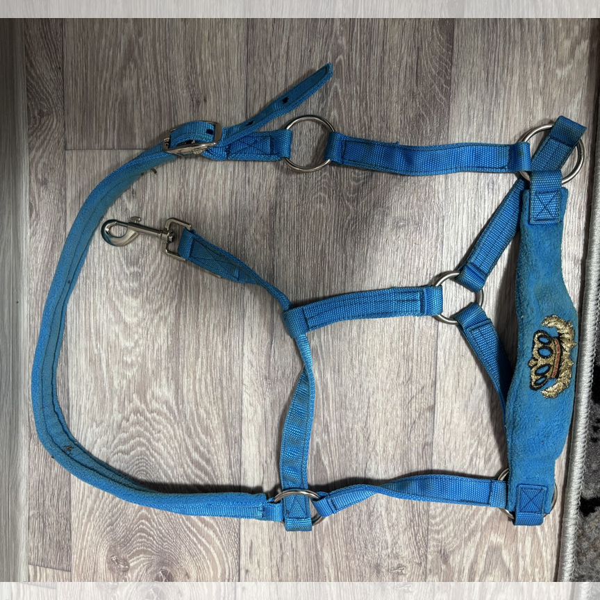 Недоуздок для лошади