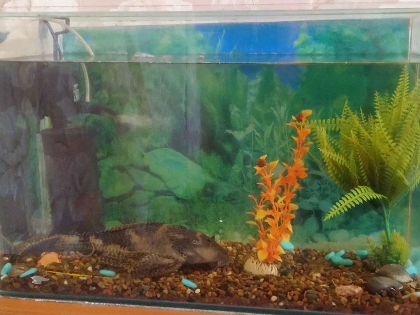 Продам Аквариум