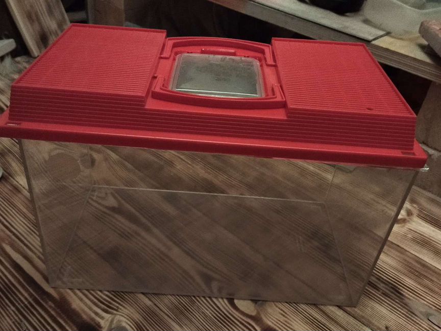 Террариум - переноска