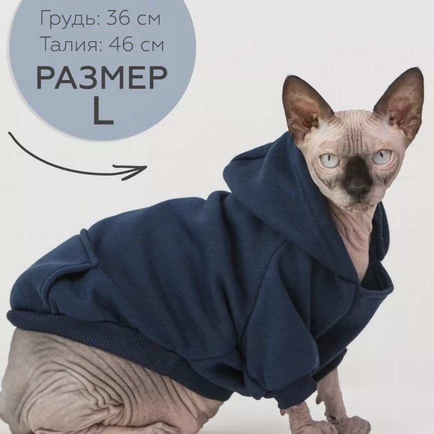 Одежда для кошек