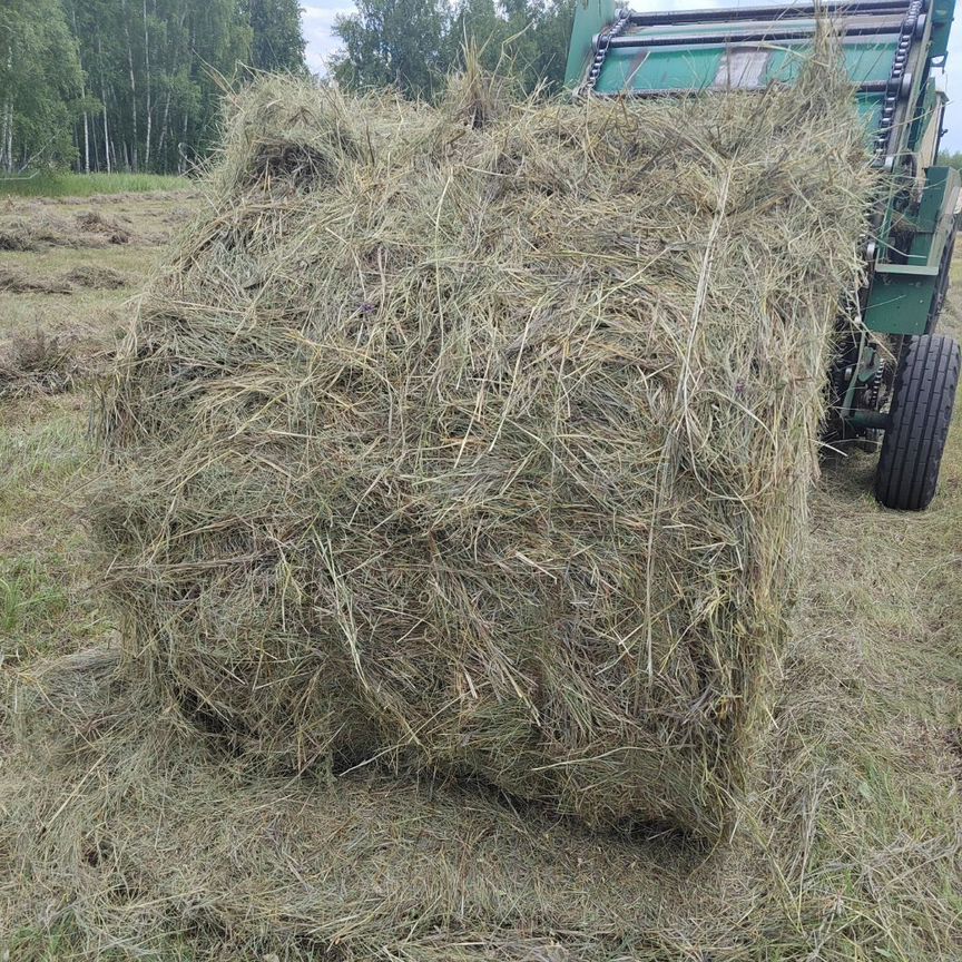 Продам сено в рулонах лесное разнотравье